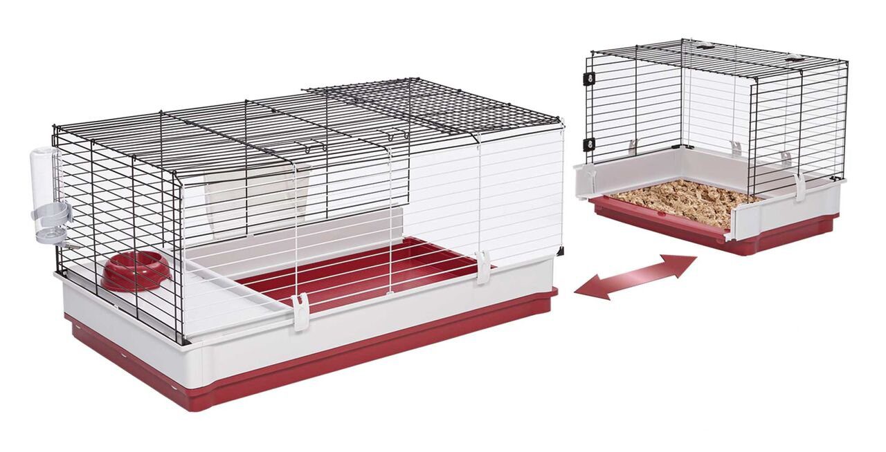 How to Bunny Proof Your Home In a Few Steps (Quick and Easy Guide)