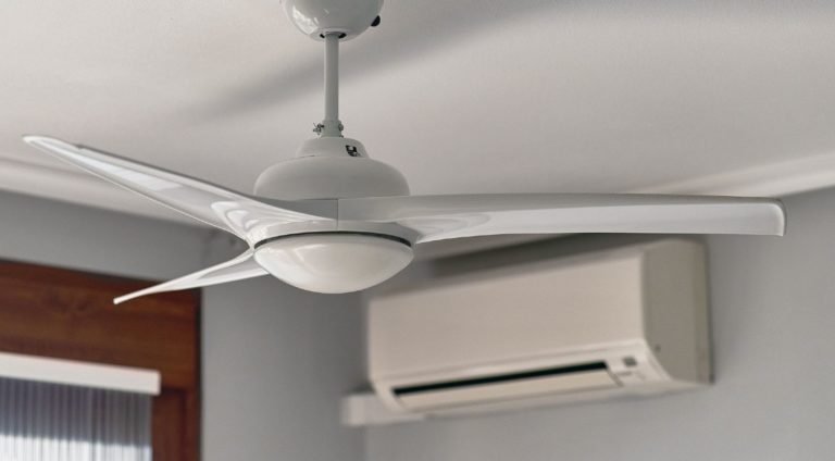 Ceiling Fan Direction for Summer vs. Winter (and Why It Matters ...